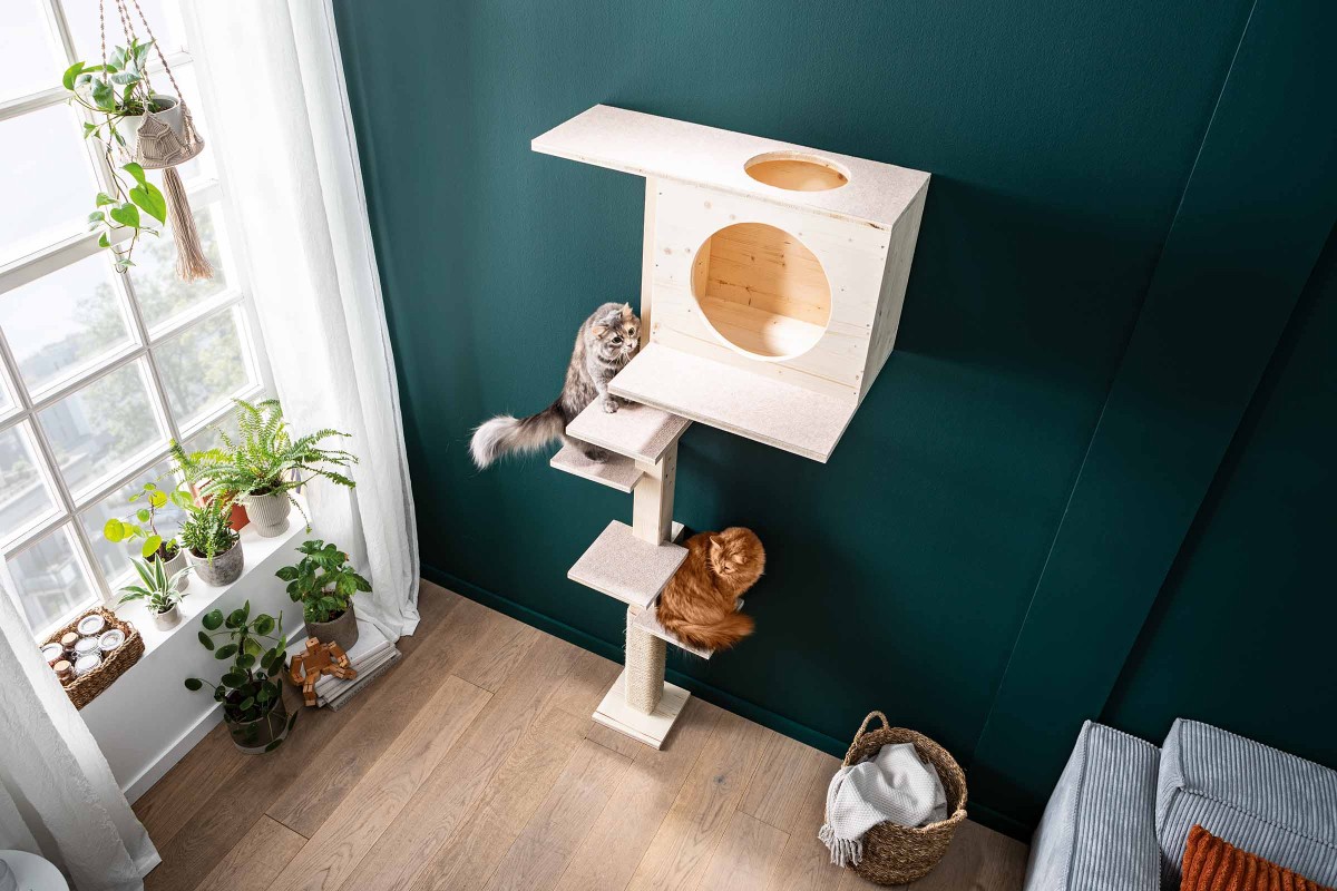 Katzenbaum selber machen: Kratzbaum DIY für Deine Katze